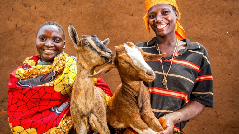 For the love of helping people | Cesra